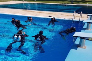 Scientific Dive Centre: Training, Scientific Services, Citizen Science